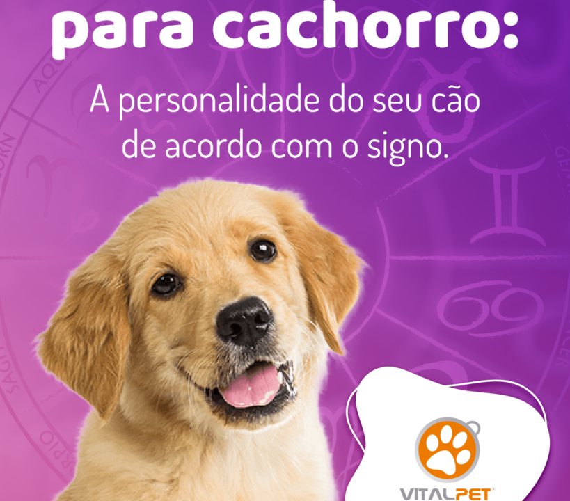 5 DE AGOSTO SIGNO 5 DE AGOSTO SIGNO PERSONALIDADE E Serwer2311392